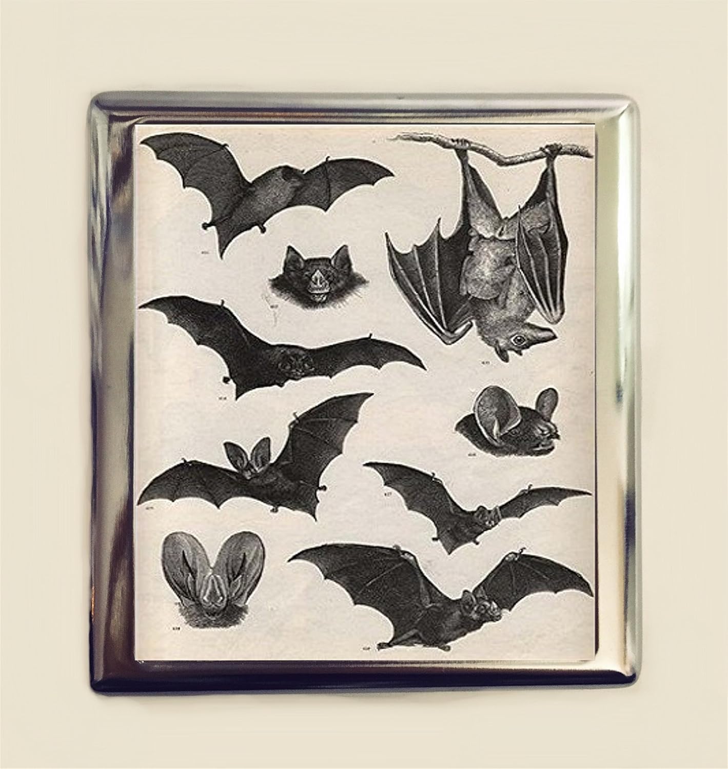 Amazon.com: Victorian Bat Cigarette Case Business Card ID Holder Wallet ...