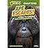 Amazon.com: National Geographic Kids Chapters: Animal Superstars: And ...