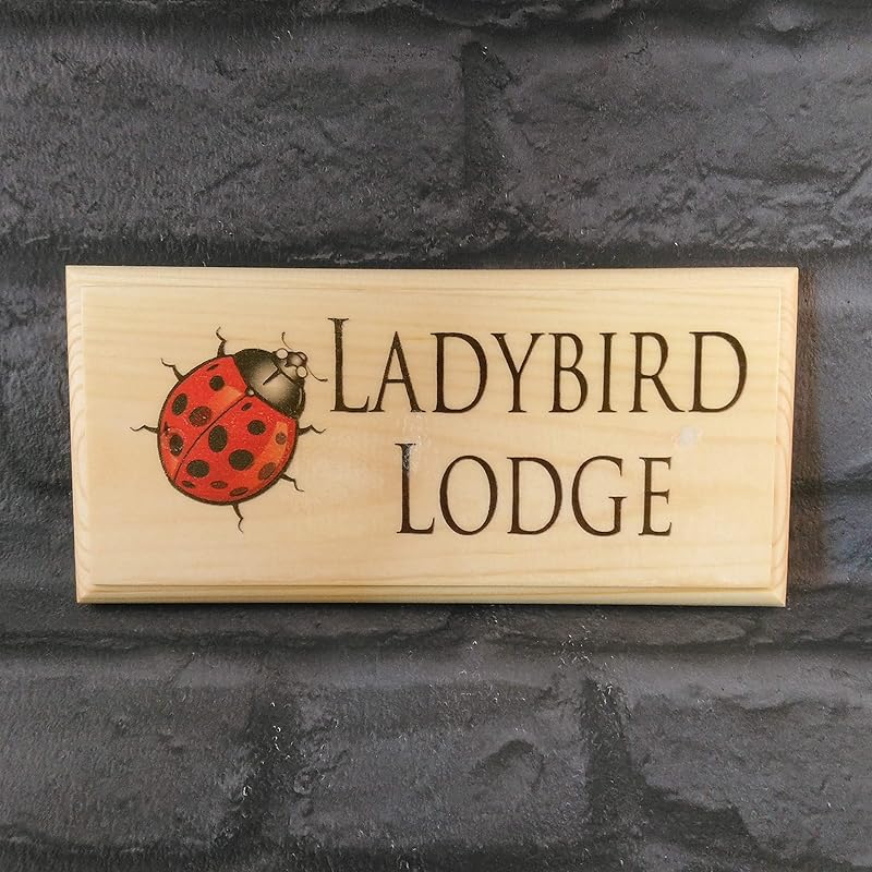 Personalised Ladybird Sign, Ladybird House Name Sign, Ladybird Garden ...