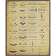 Amazon.com: Poster Master Vintage UFO Identification Chart Poster ...