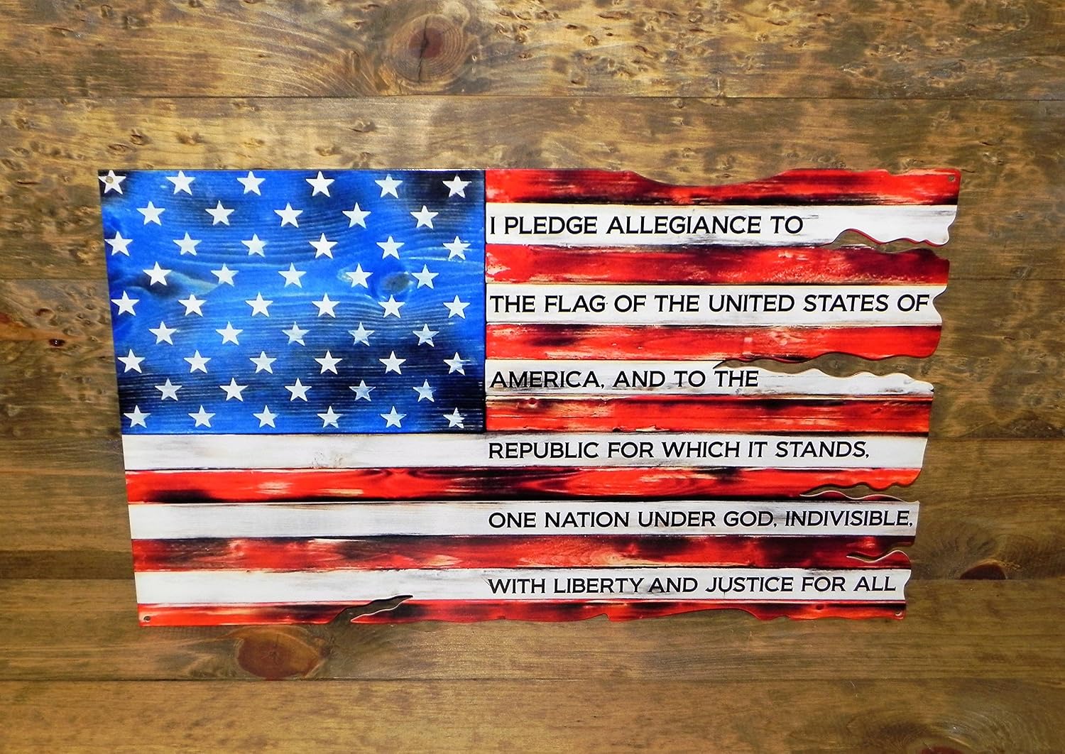 Amazon.com: PhotoSteel The Pledge of Allegiance USA Flag Metal Sign ...