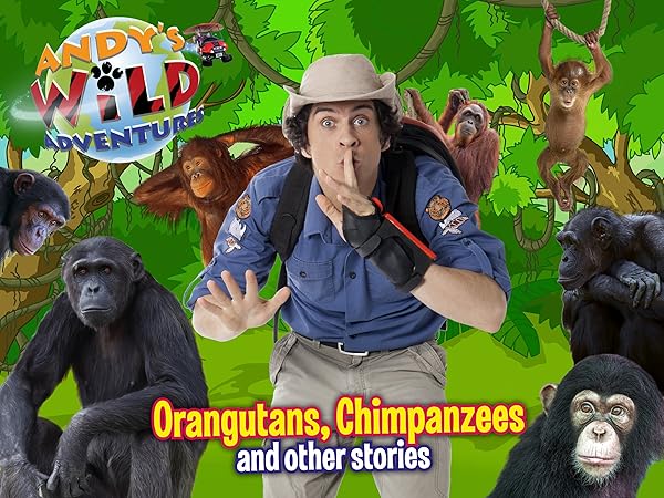 Watch Andy's Wild Adventures: Orangutans, Chimpanzees and other stories ...