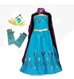 Amazon.com: Frozen Elsa Coronation Set Costume, Fits Sizes 4-6X: Toys ...