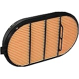 Amazon.com: Donaldson P608666 Air Filter, Primary, Powercore ...