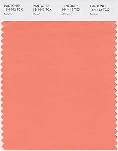 PANTONE SMART 16-1442X - Tarjeta de muestra, color melón : Amazon.es ...