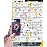 Amazon.com: EverStretch Stretching Poster for Home Gym - with Video ...