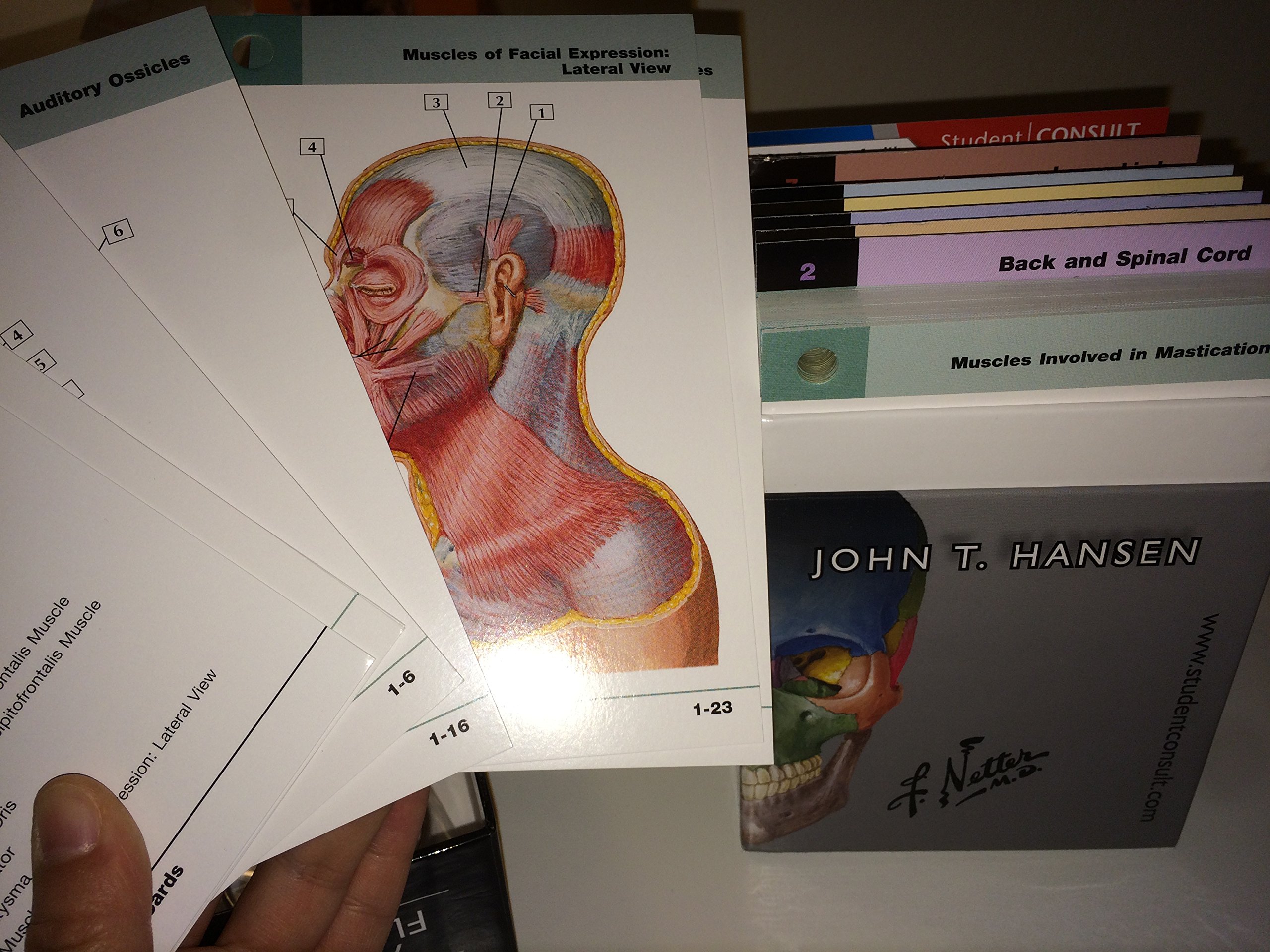 Mua Netter's Anatomy Flash Cards: with Online Student Consult Access ...