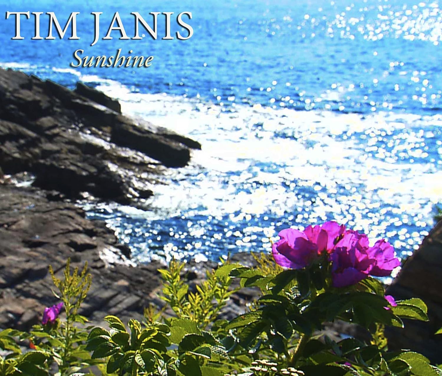 Tim Janis, Tim Janis - Tim Janis Sunshine - Amazon.com Music