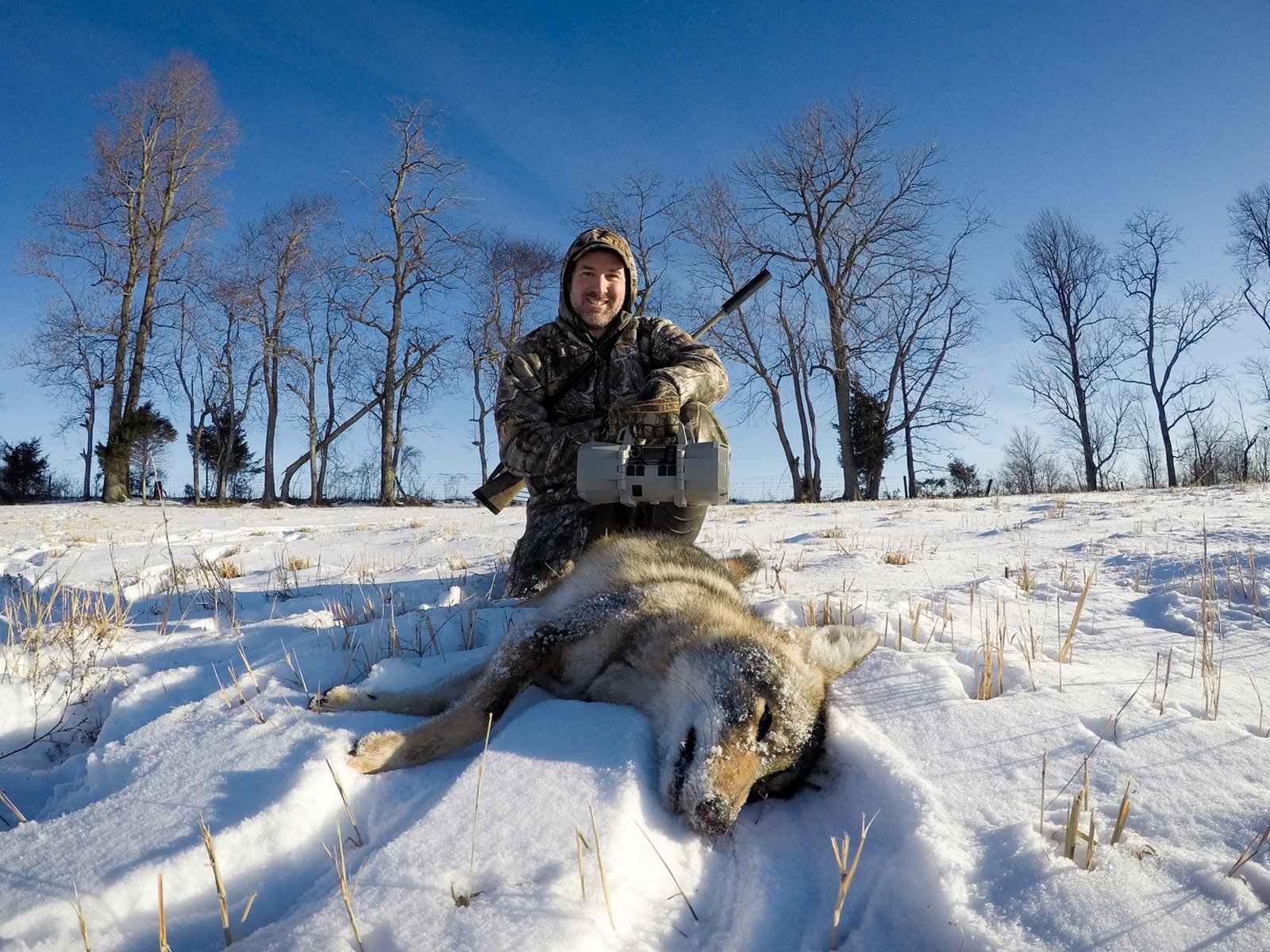 Watch Tooth & Claw | Prime Video