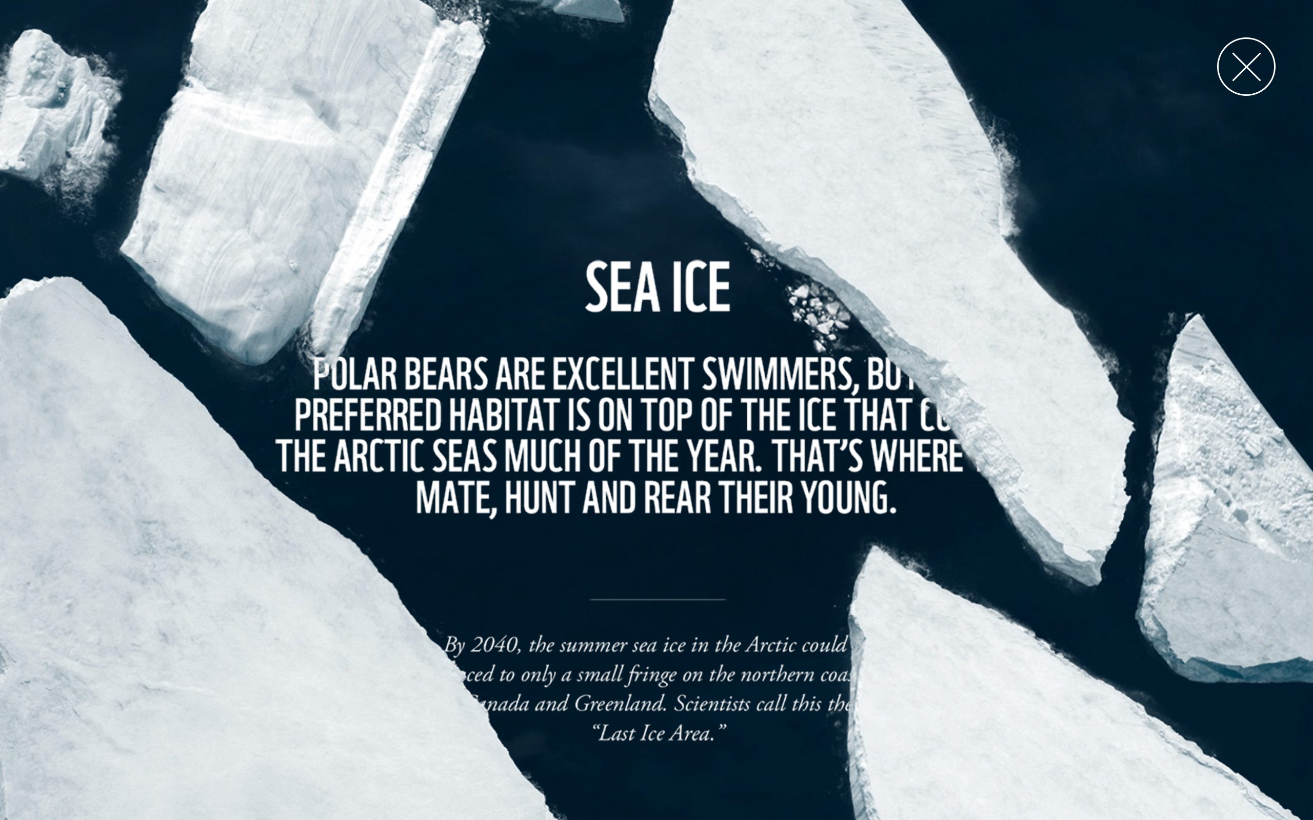 WWF Together:Amazon.co.uk:Appstore for Android