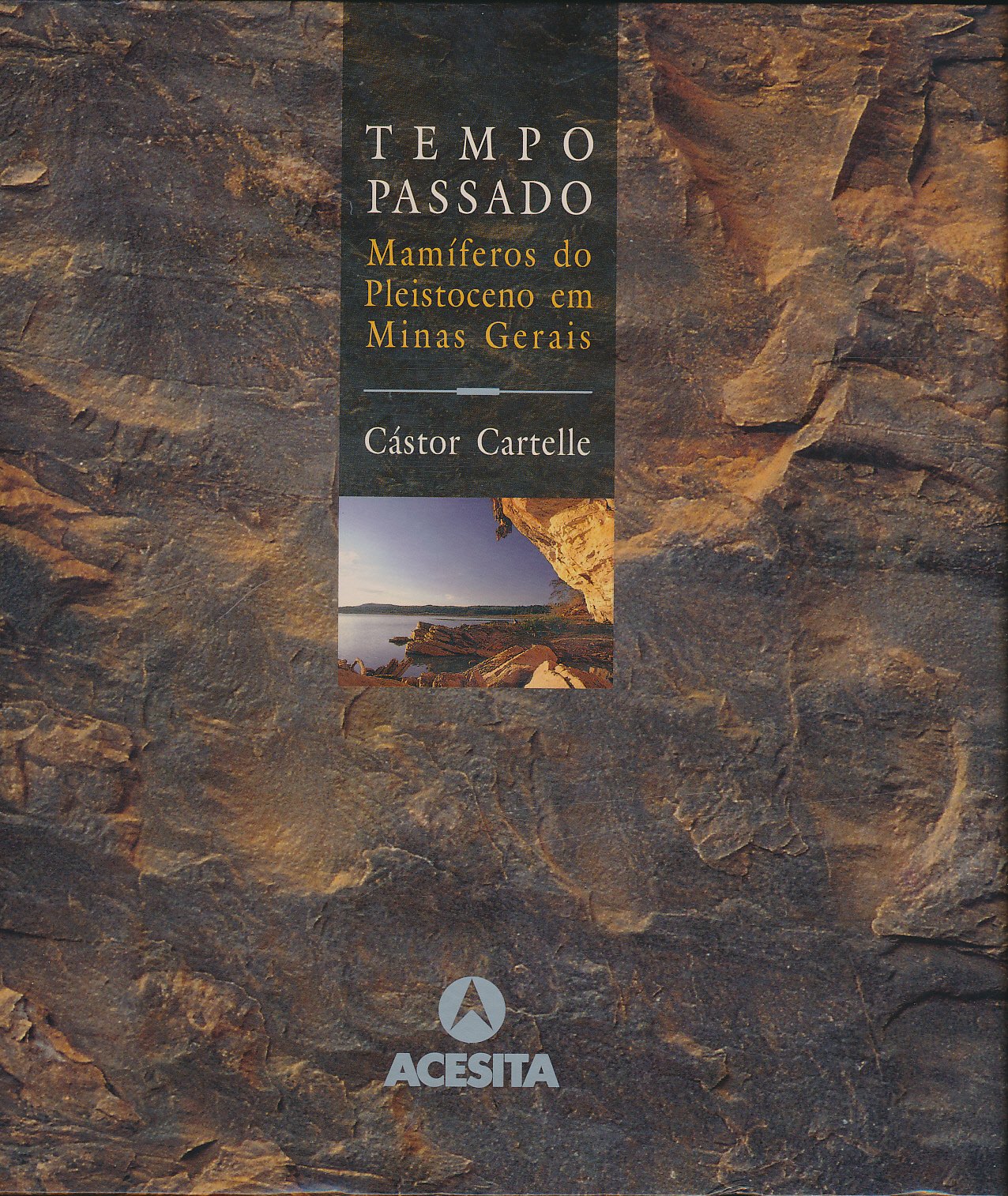 Tempo Passado: Mamiferos Do Pleistoceno Em Minas Gerais (Portuguese ...