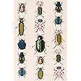 Amazon.com: Colorful Beetle-Inspired Hand-Tufted Wool Area Rug – Eco ...