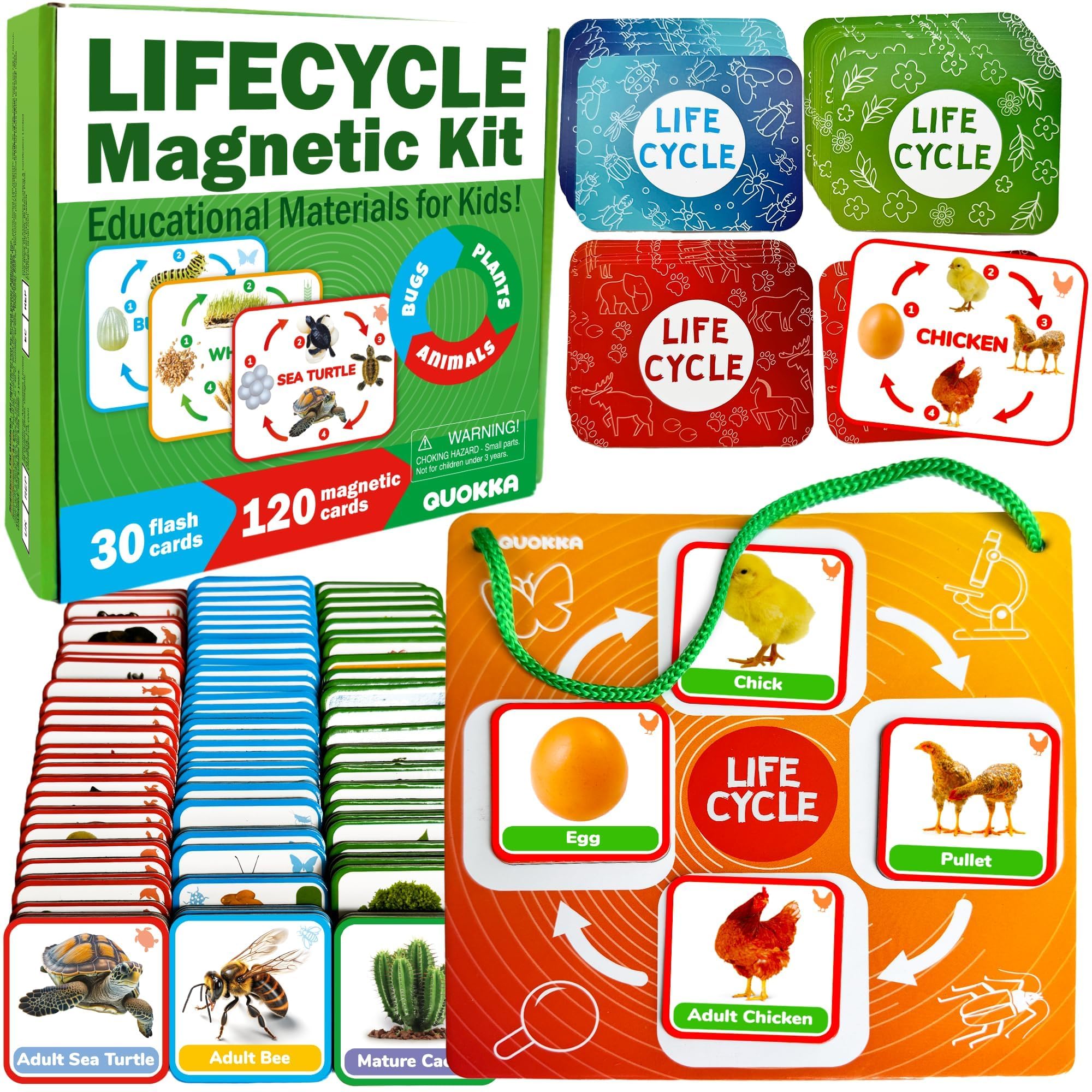 QUOKKA Life Cycle Kit Toy Montessori - 30 Flash Cards Toddler Science ...