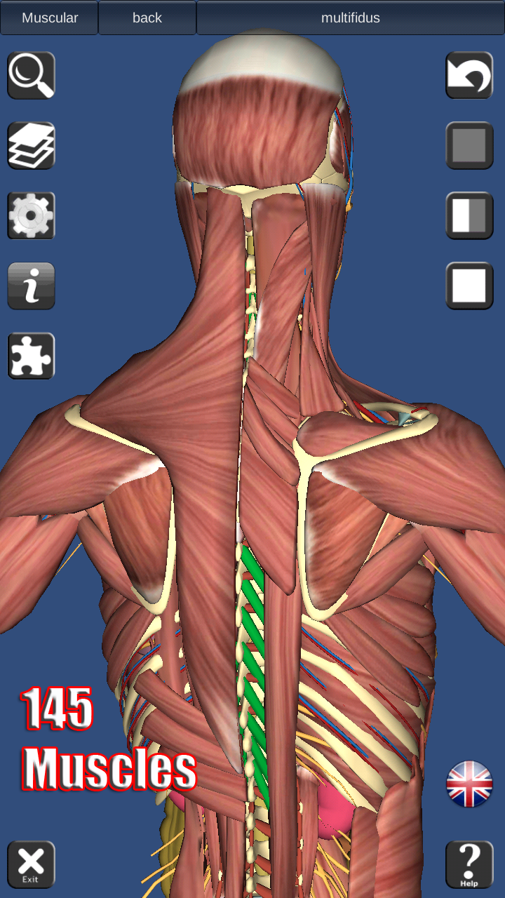 3D Anatomy: Amazon.es: Appstore para Android
