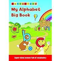 My Alphabet Big Book: Holt, Lisa: 9781782481485: Amazon.com: Books