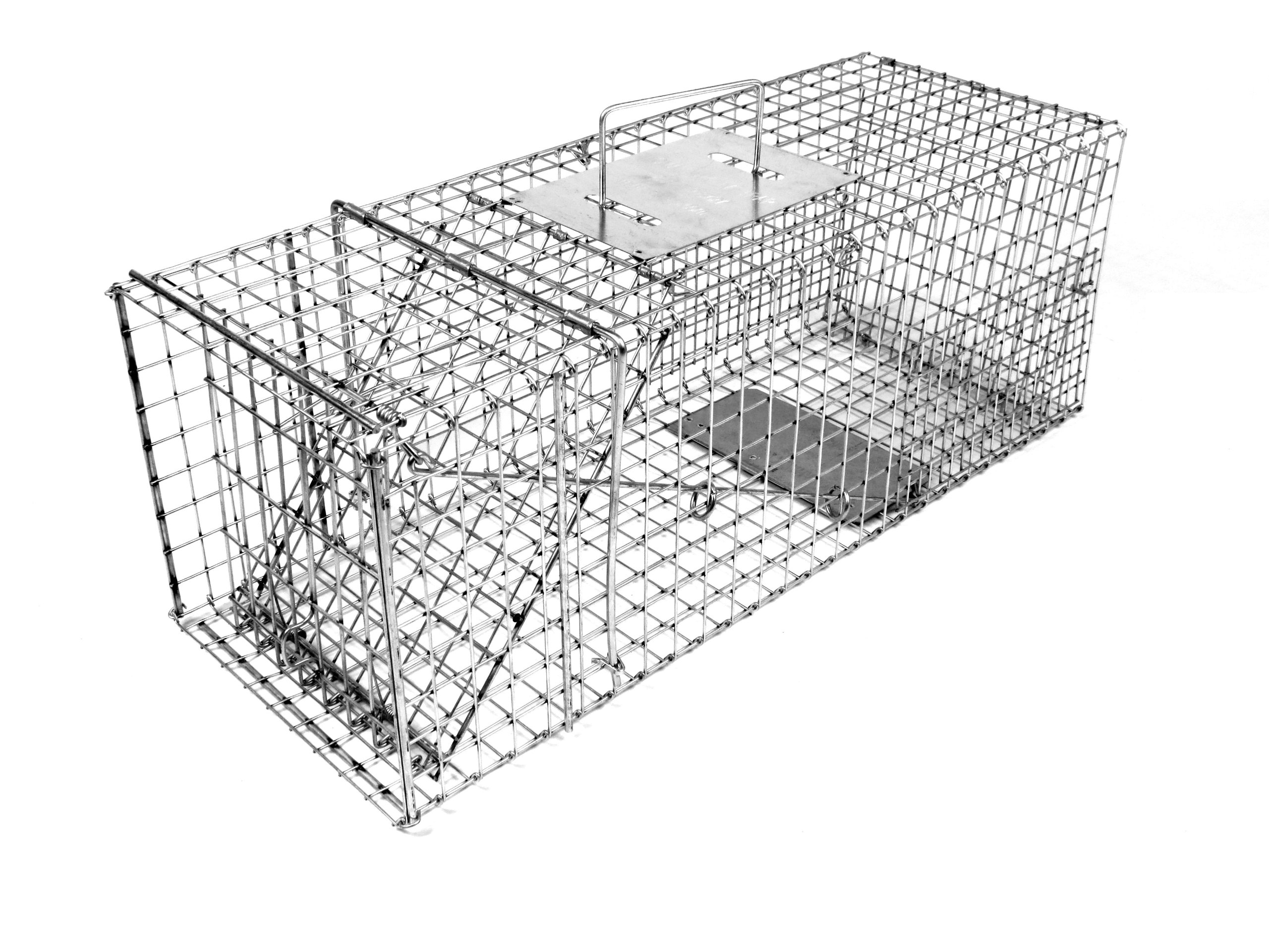 Tomahawk Live Trap shop Oman | Buy Tomahawk Live Trap products online ...