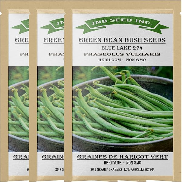 Green Bean Collection