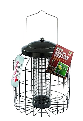 Nuttery Squirrel Proof Globe Nut Feeder: Amazon.co.uk: Garden & Outdoors