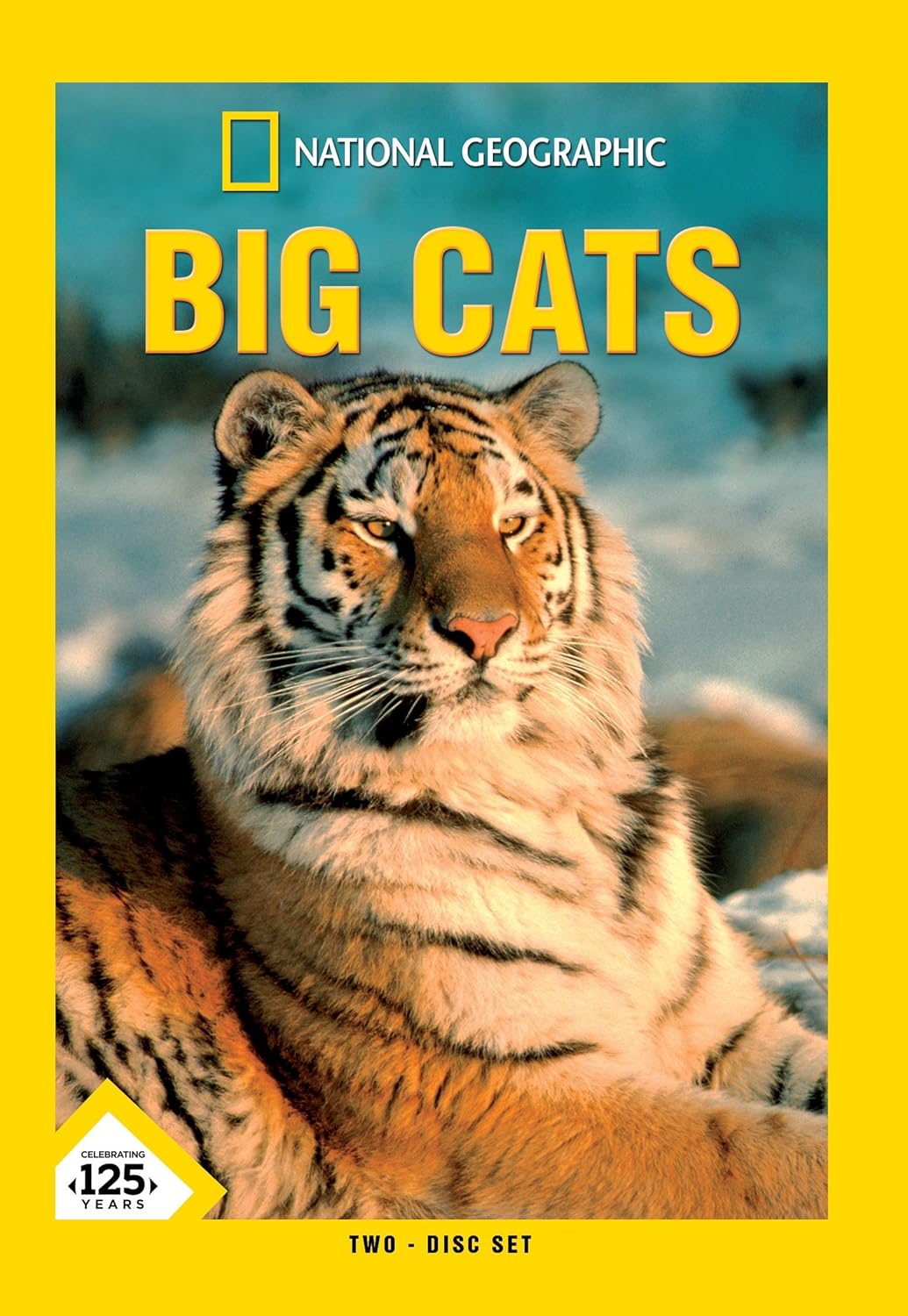 Big Cats: Lions, Leopards, Tigers, Cheetah: Amazon.in: Movies & TV Shows