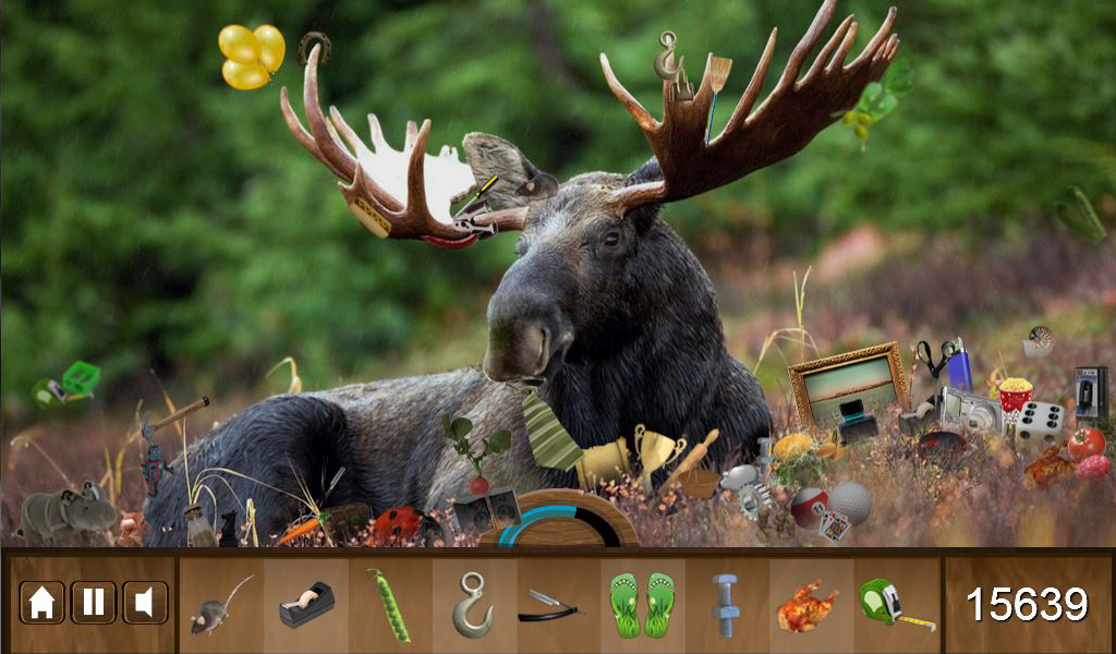 Amazon.com: Hidden Object - Animals Gone Wild: Appstore for Android