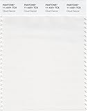 Pantone 11-1001 TCX Smart Color Swatch Card, White Alyssum - Wall Decor ...