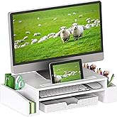 Amazon.com: Simple Houseware Desk Monitor Stand Riser with Adjustable ...