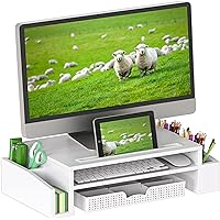 SimpleHouseware Computer Monitor Stand Riser with Desk Organizer ...