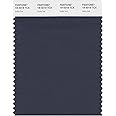 PANTONE Smart 19-4019X Color Swatch Card, India Ink - House Paint ...