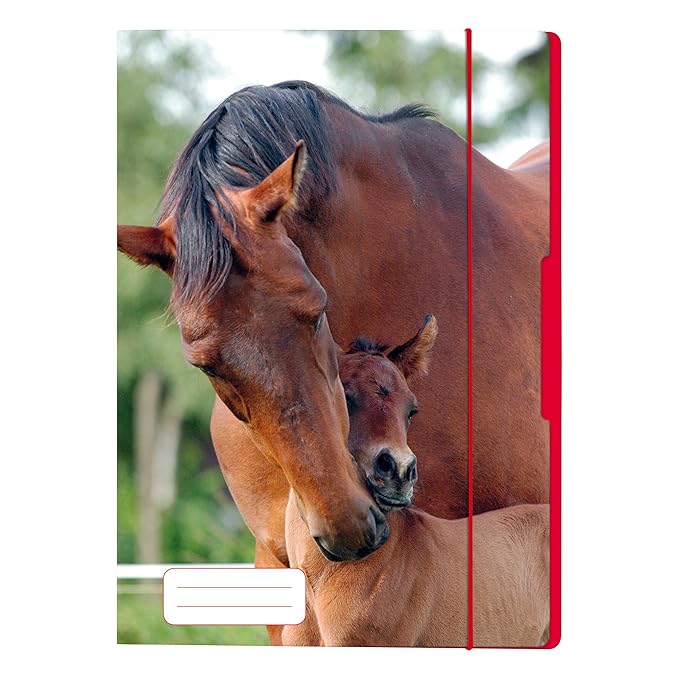 Herlitz 50001606 Folder A4 with Horse Design: Amazon.co.uk: Office Products