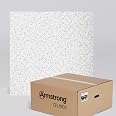 Amazon.com: Armstrong Ceiling Tiles; 2x2 Ceiling Tiles - Acoustic ...