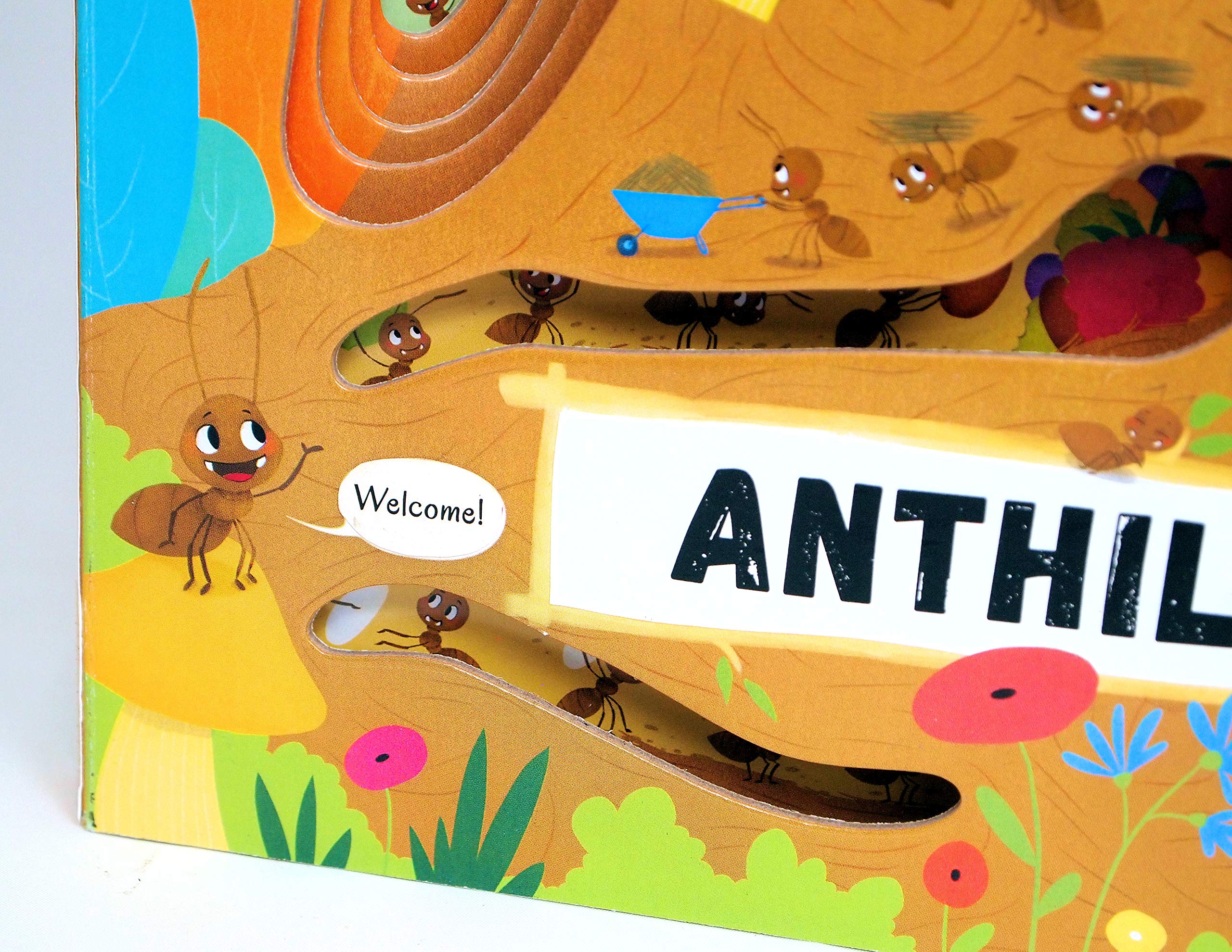 Mua Discovering the Active World of the Anthill (Happy Fox Books) Board ...