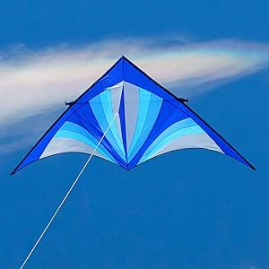 Amazon.com: Into The Wind Dan Leigh Whirlwind Delta Kite : Toys & Games