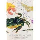 Life Between the Tides: Marine Plants and Animals of the Northeast ...