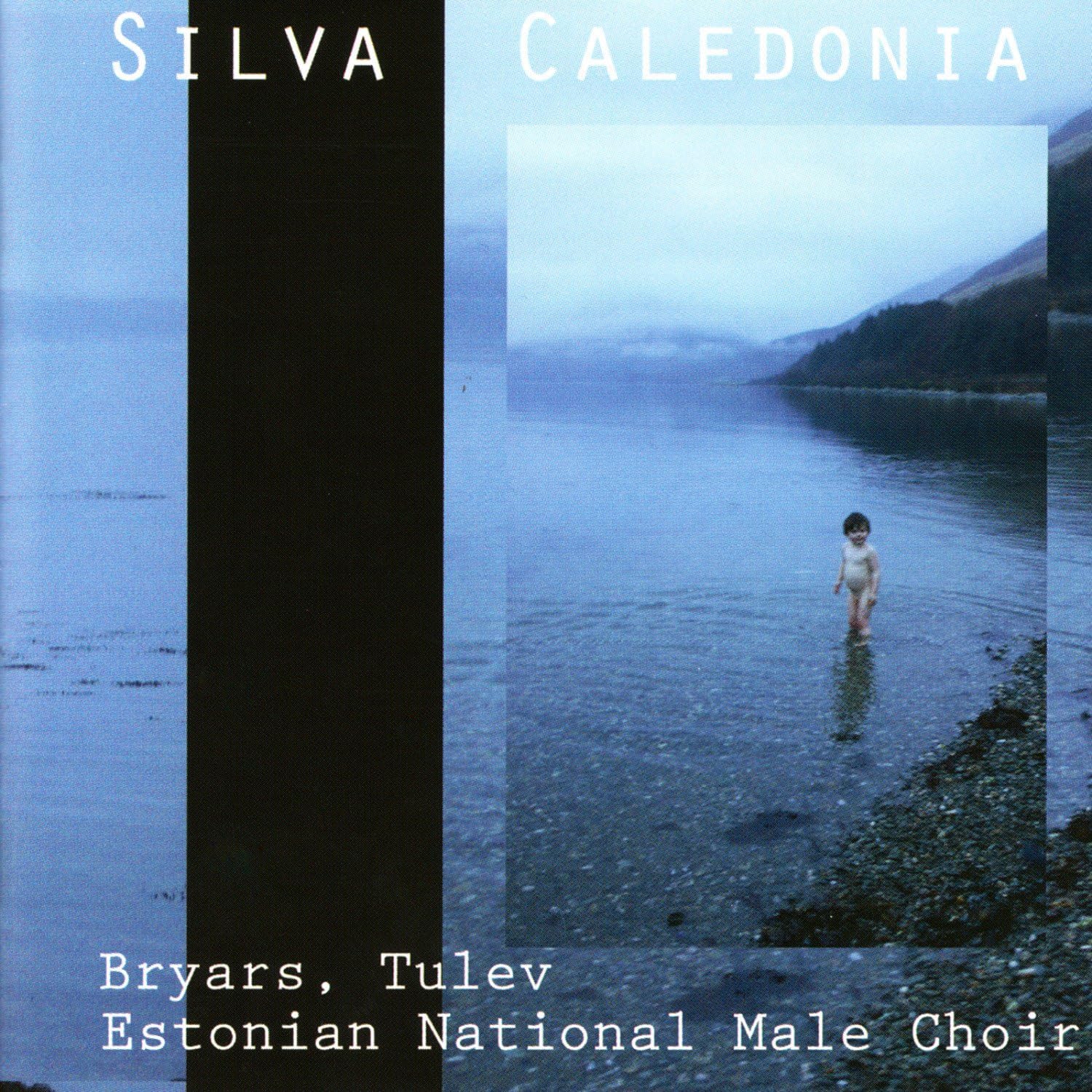 Gavin Bryars: Silva Caledonia: Amazon.co.uk: CDs & Vinyl