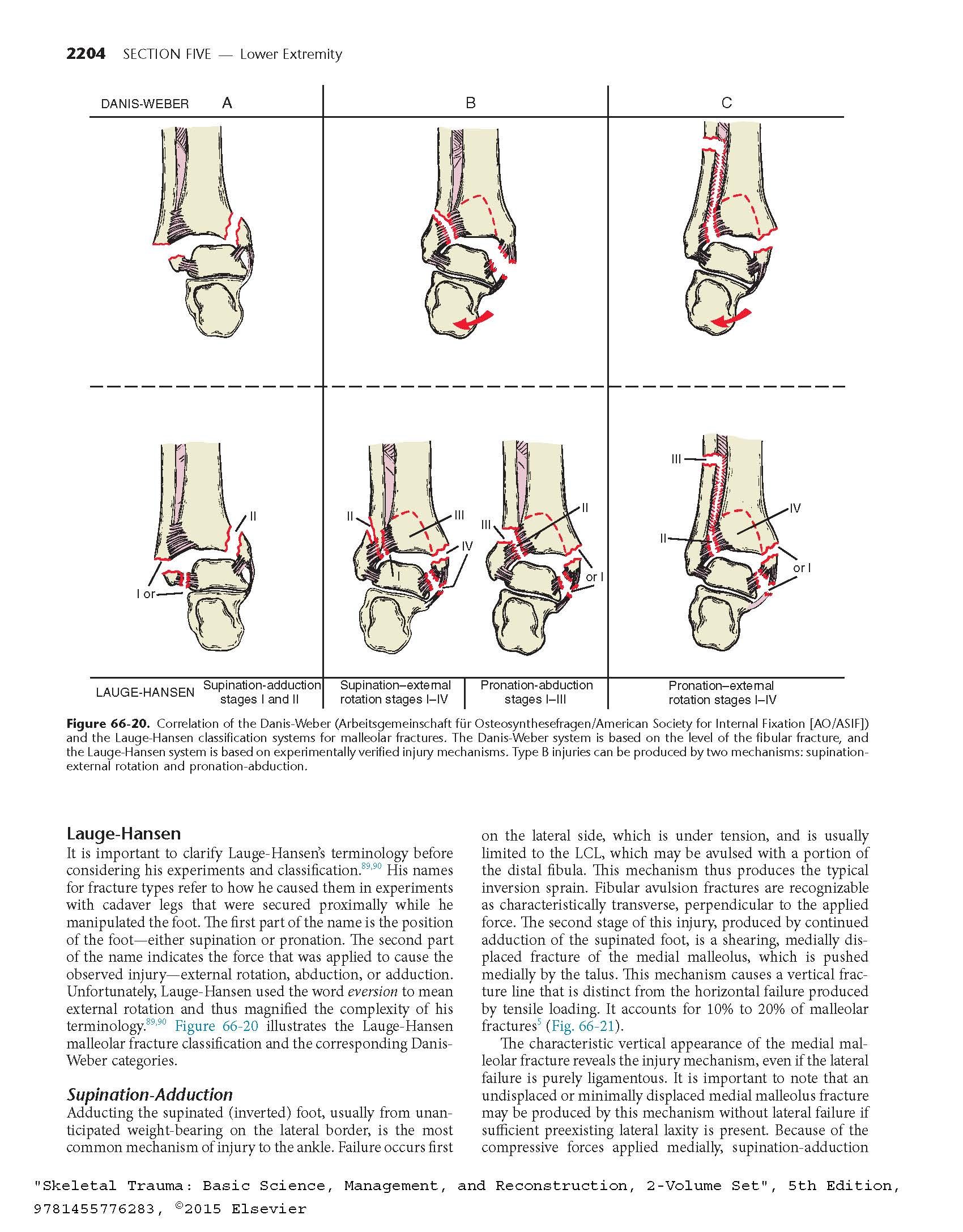 Skeletal Trauma: Basic Science, Management, And Reconstruction, 2 ...