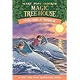 Amazon.com: Dolphins at Daybreak (Magic Tree House, No. 9 ...