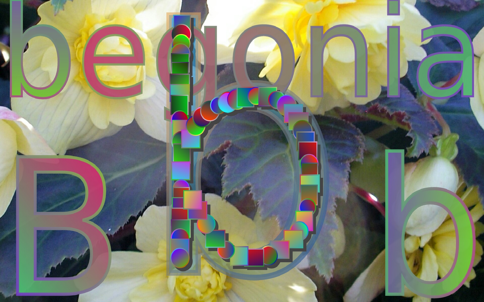 Easy Flower Alphabet:Amazon.com:Appstore for Android