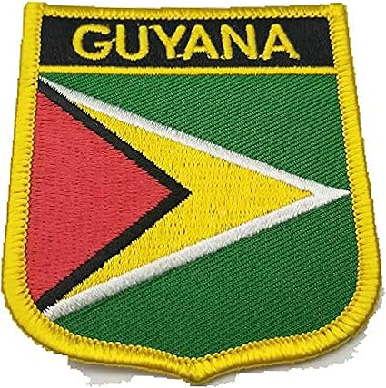 Amazon.com: Guyana Flag Embroidered Sew or Iron on Patch Badge Guyanese National: Clothing