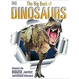 Big Book of Things That Go: DK Publishing: 9781564584625: Amazon.com: Books