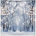 Amazon.com : Funnytree 8x8ft Durable Fabric Winter Scene Backdrop Wonderland Snowflake ...