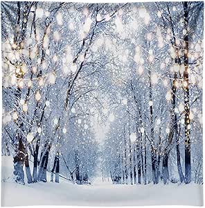 Amazon.com : Funnytree 8x8ft Durable Fabric Winter Scene Backdrop Wonderland Snowflake ...