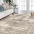 Amazon.com: RUUGME Washable 5x7 Area Rugs - Large Rugs for Living Room ...