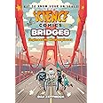 Science Comics: Bridges: Engineering Masterpieces: Zettwoch, Dan: 9781250216908: Amazon.com: Books