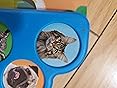 Hoot! Meow! Roar!: Let's Listen to Animals Around the World!: Parragon ...