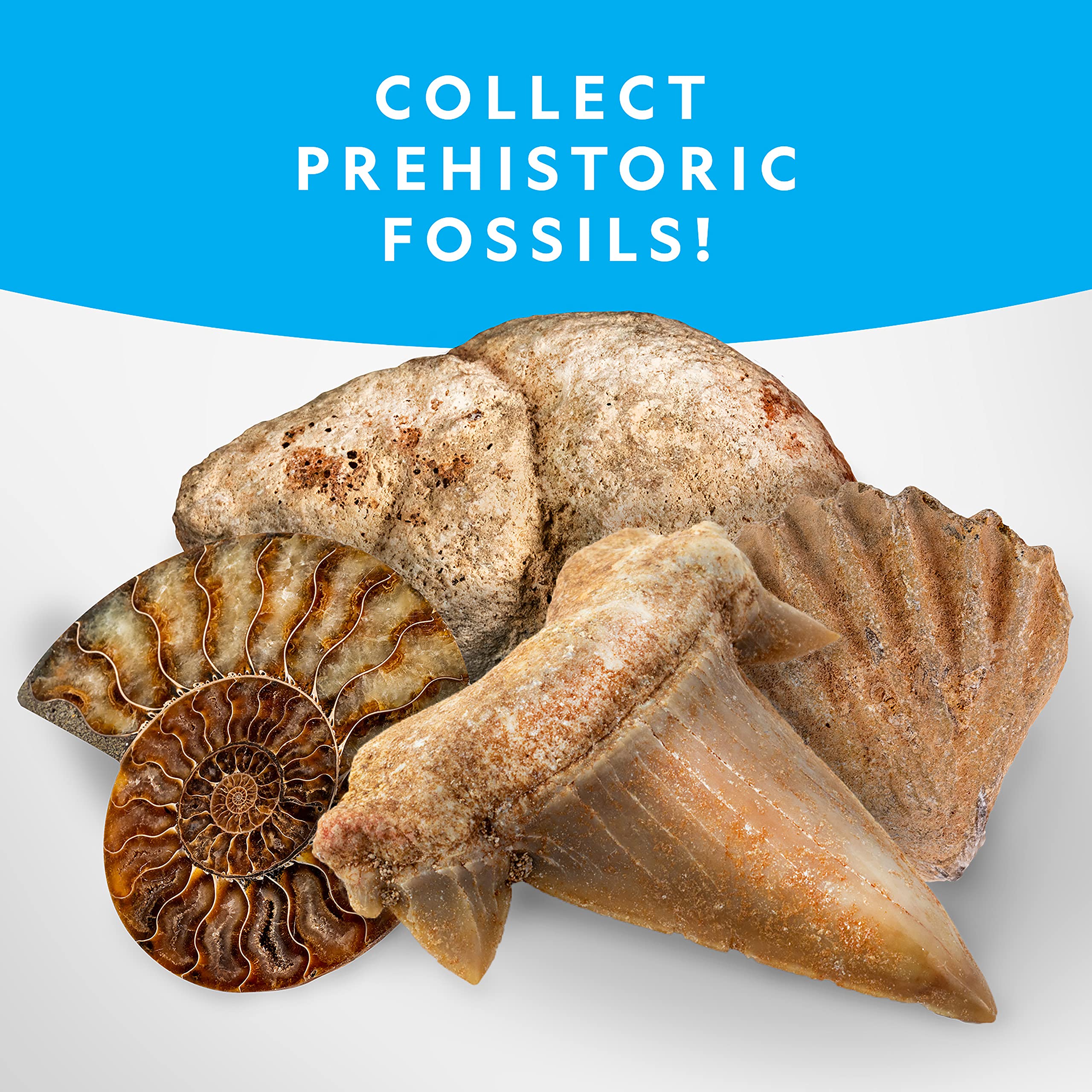 Mua Rock Collection Box for Kids – 200 Piece Gemstones and Crystals Set ...