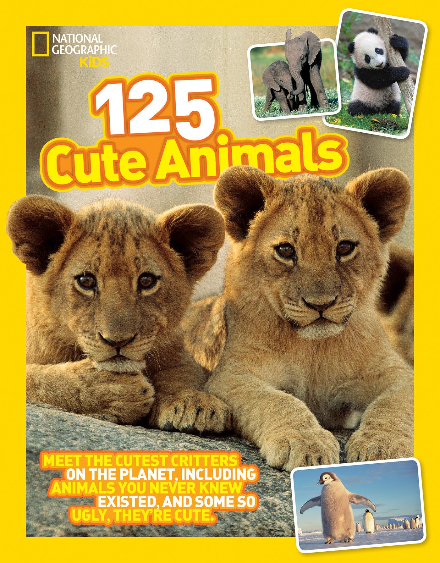 Mua 125 Cute Animals: Meet the Cutest Critters on the Planet, Including ...