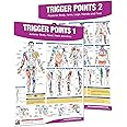 Trigger Point Therapy Chart/Poster Set; Acupressure Charts - Myofascial ...