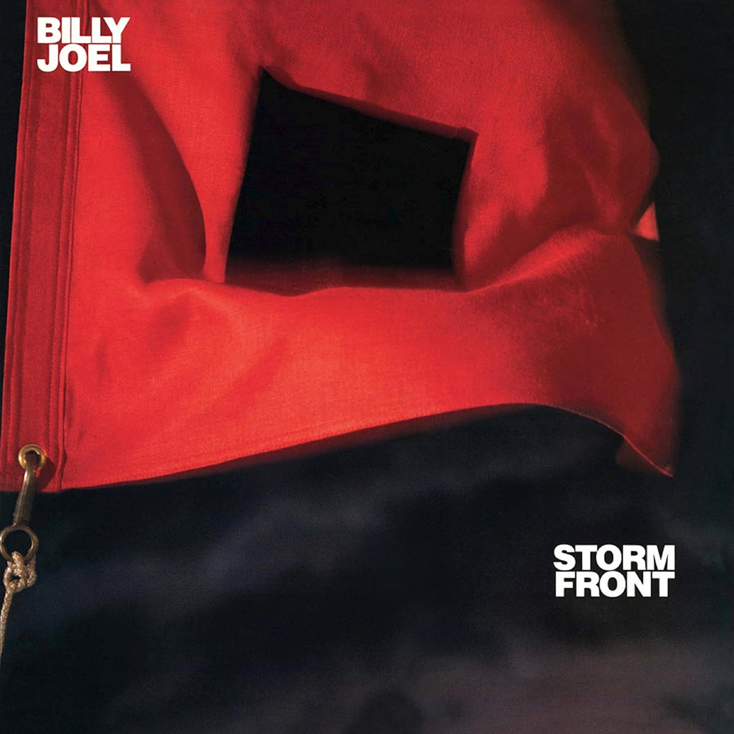 Storm Front [Vinyl LP]: Amazon.de: Musik