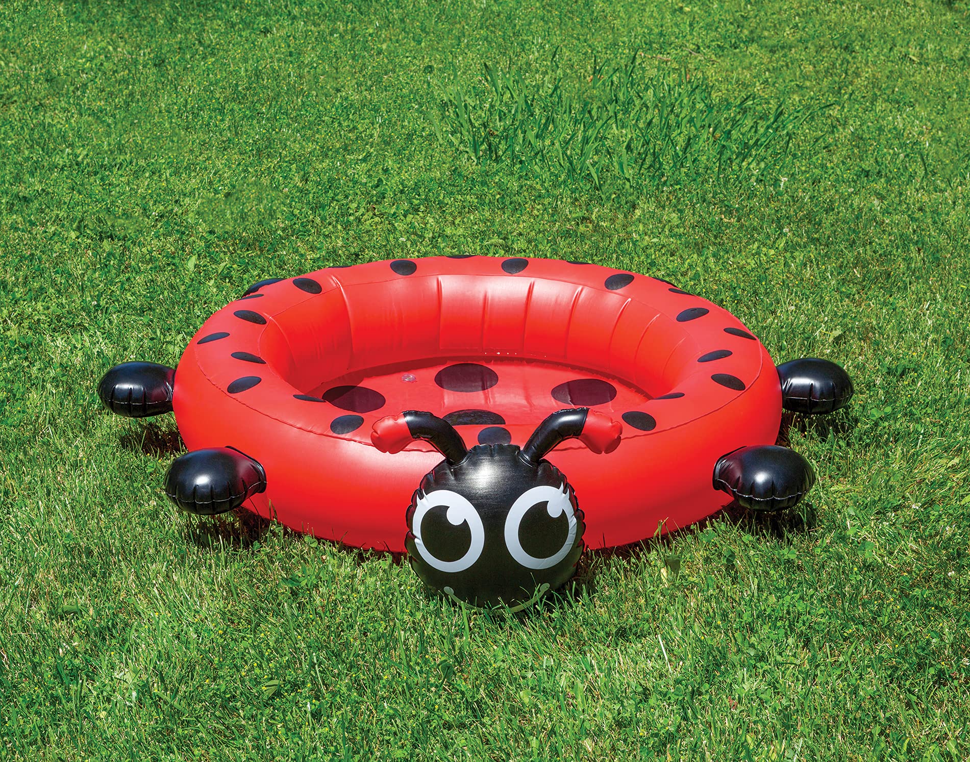 Poolmaster Ladybug Kiddie Pool Swimming Pool for sale | Mesa, AZ ...