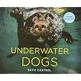 Amazon.com: Underwater Dogs: 9780316227704: Casteel, Seth: Books